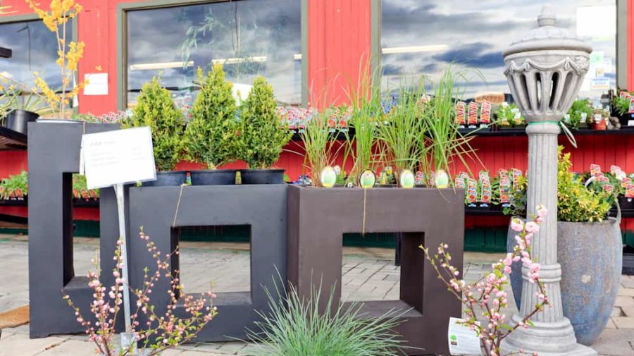 Garden Centre | Lyons Landscaping
